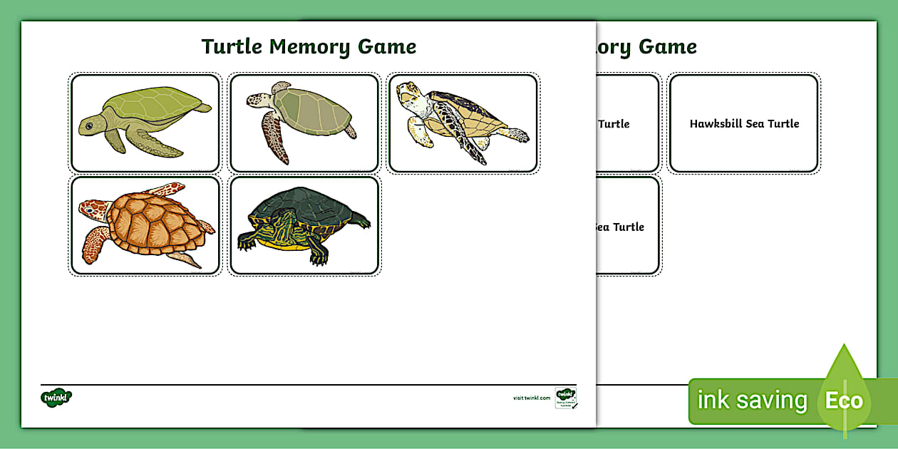 Turtle Memory Game (teacher made) - Twinkl