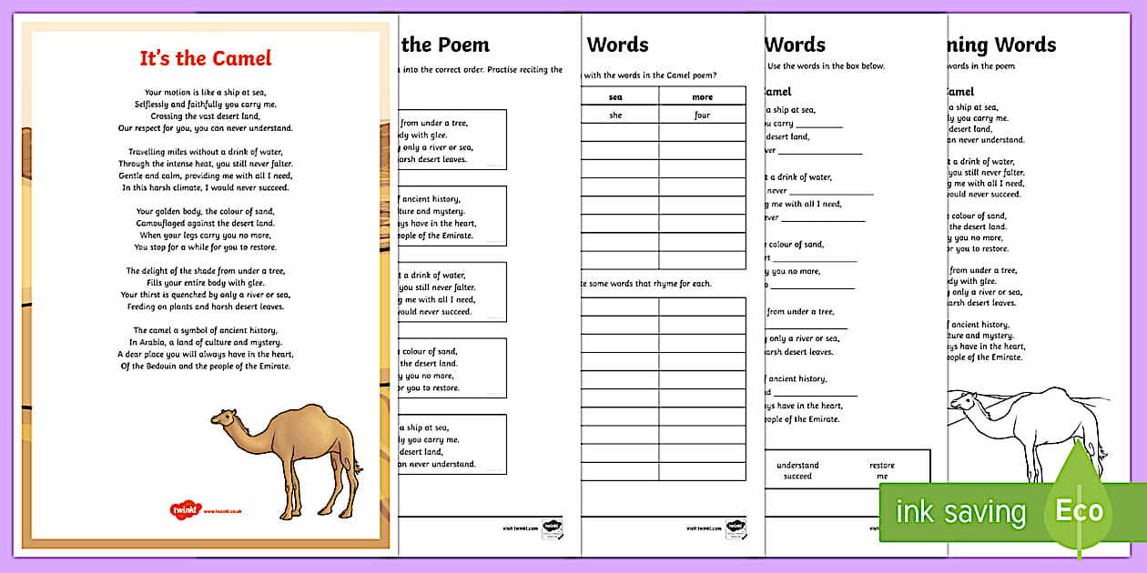 The Camel Poem Activity Pack (teacher made) - Twinkl