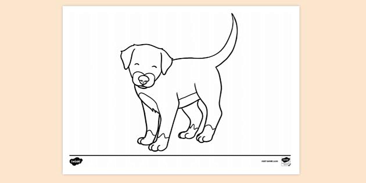 Small Brown Dog Colouring Sheet (teacher made) - Twinkl