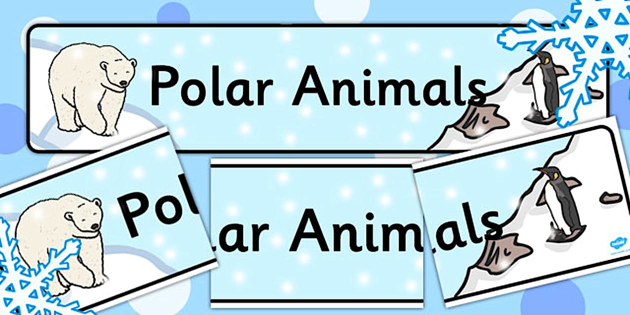 Polar Animals Display Banner (teacher made) - Twinkl