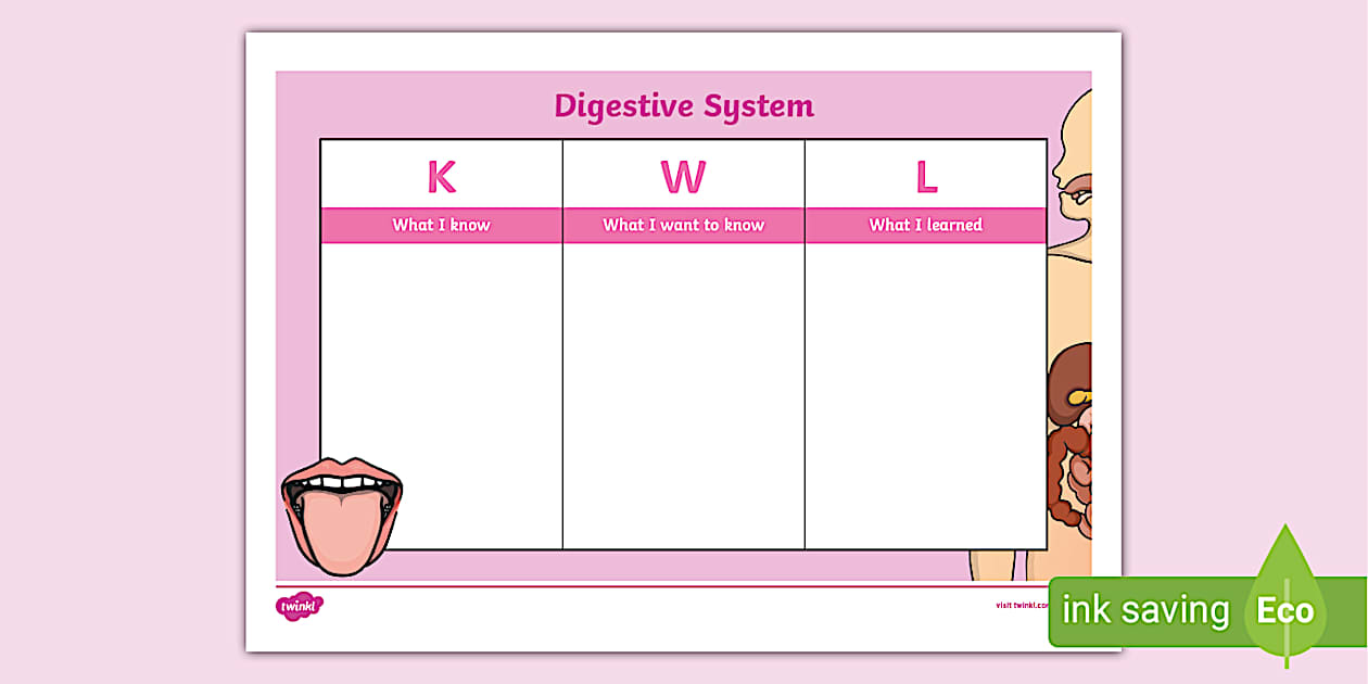 Digestive System Topic KWL Grid (teacher made) - Twinkl