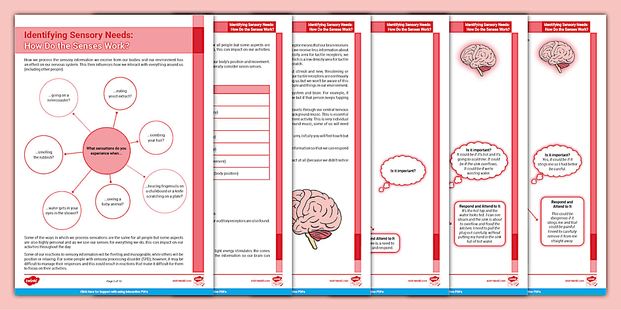 Identifying Sensory Needs: How Do the Senses Work? - Twinkl