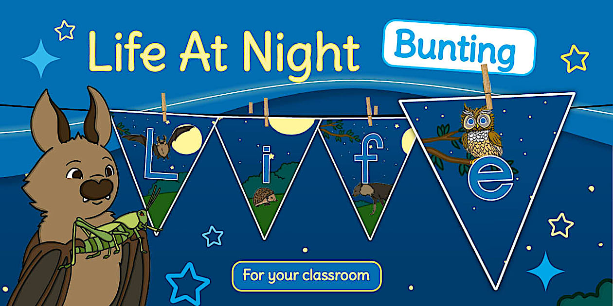 Grade 2 Life Skills Term 4: Life At Night: Bunting (CAPS)