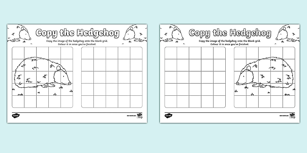 Copy the Hedgehog Worksheet (Teacher-Made) - Twinkl