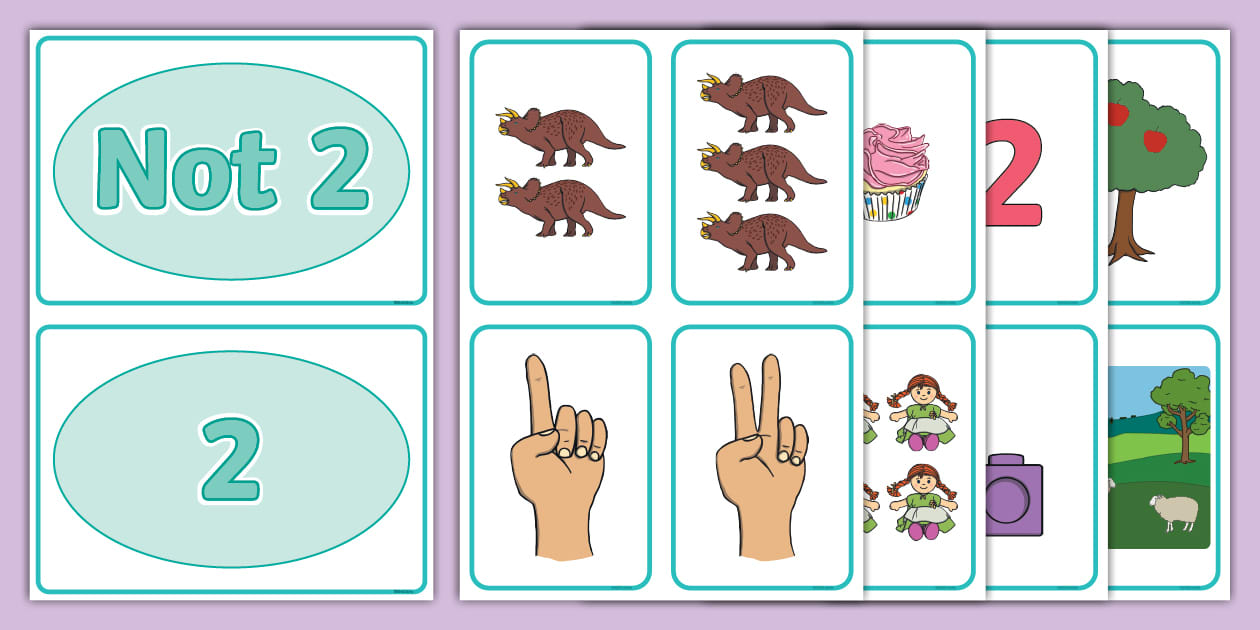 👉 Two or Not Two Sorting Activity | Twinkl (Teacher-Made)