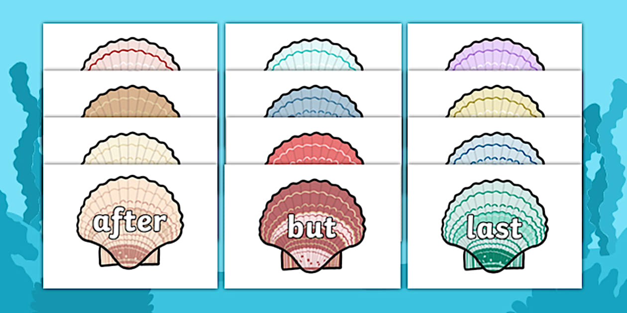 Cursive Connectives on Clam Shells (Hecho por educadores)