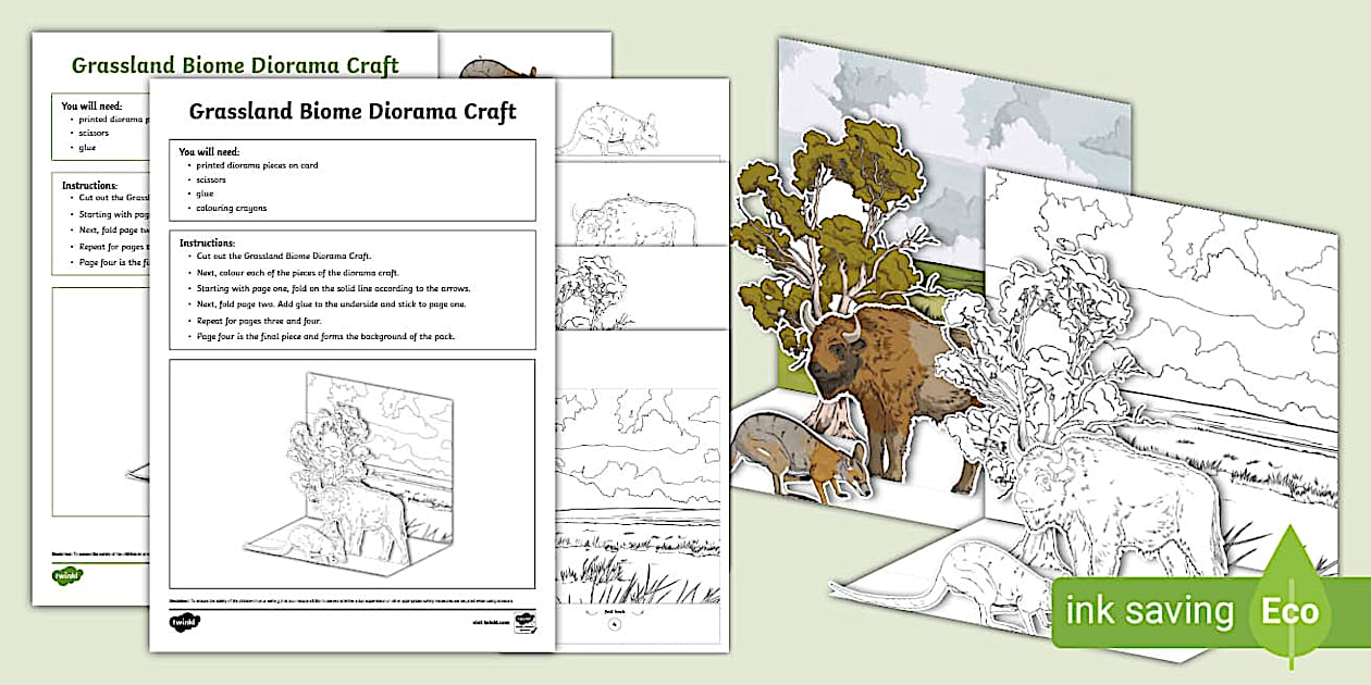 Grassland Biome Diorama Craft (teacher made) - Twinkl