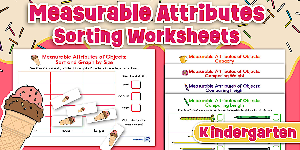 Measurable Attributes of Objects | K-1st Grade | Twinkl USA