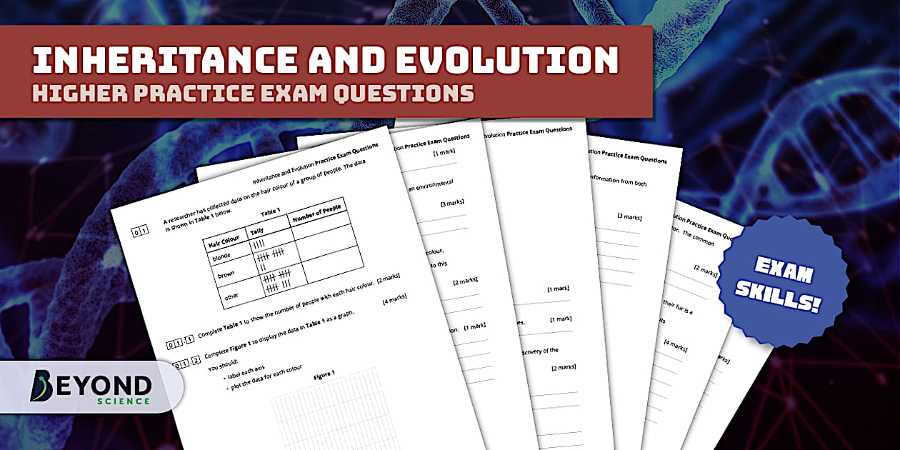 KS3 Inheritance and Evolution Higher Practice Exam Questions