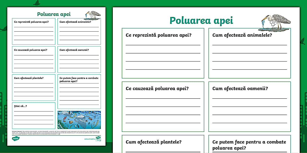 Proiect poluarea apei - fișă de investigație - Twinkl