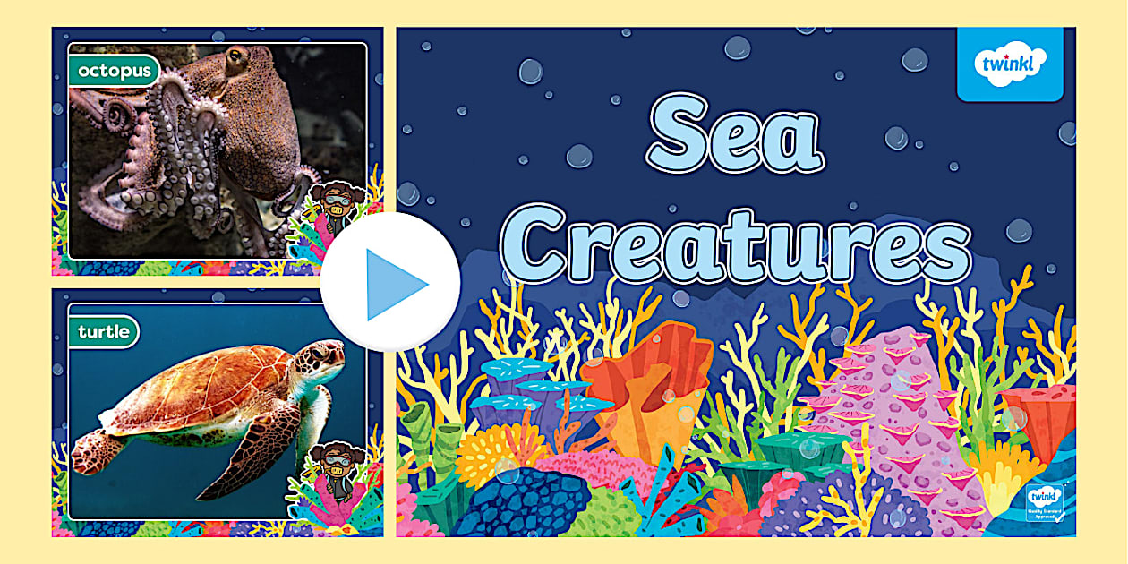 Sea Creatures Photo PowerPoint (teacher made) - Twinkl
