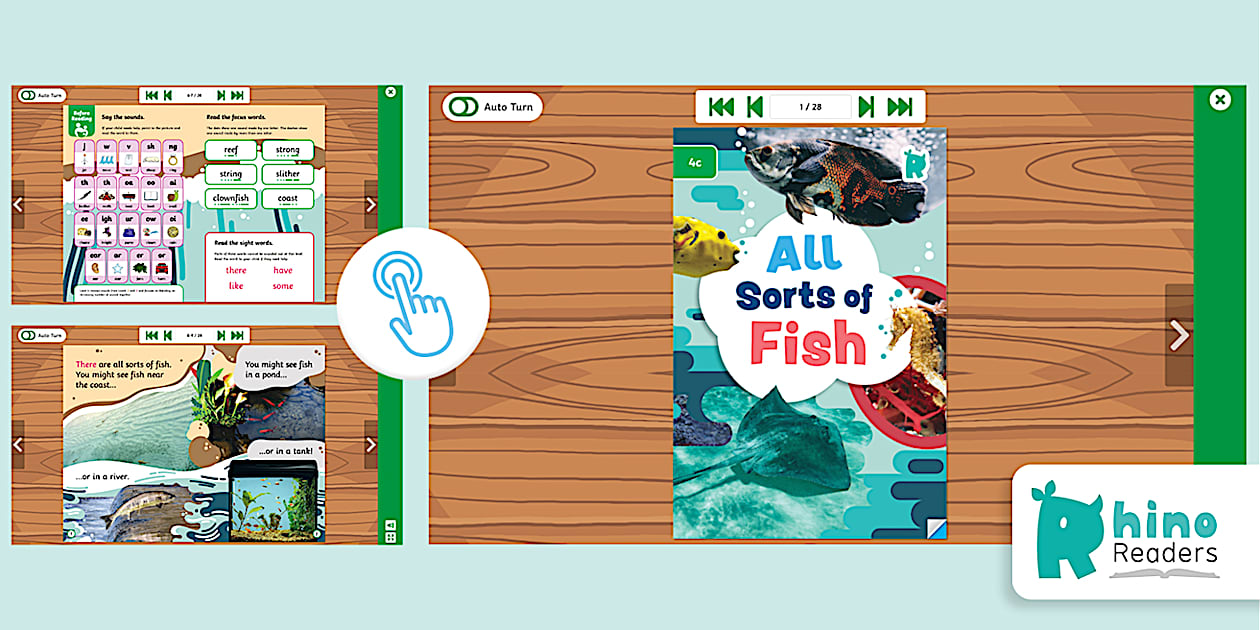 Level 4c All Sorts of Fish eBook