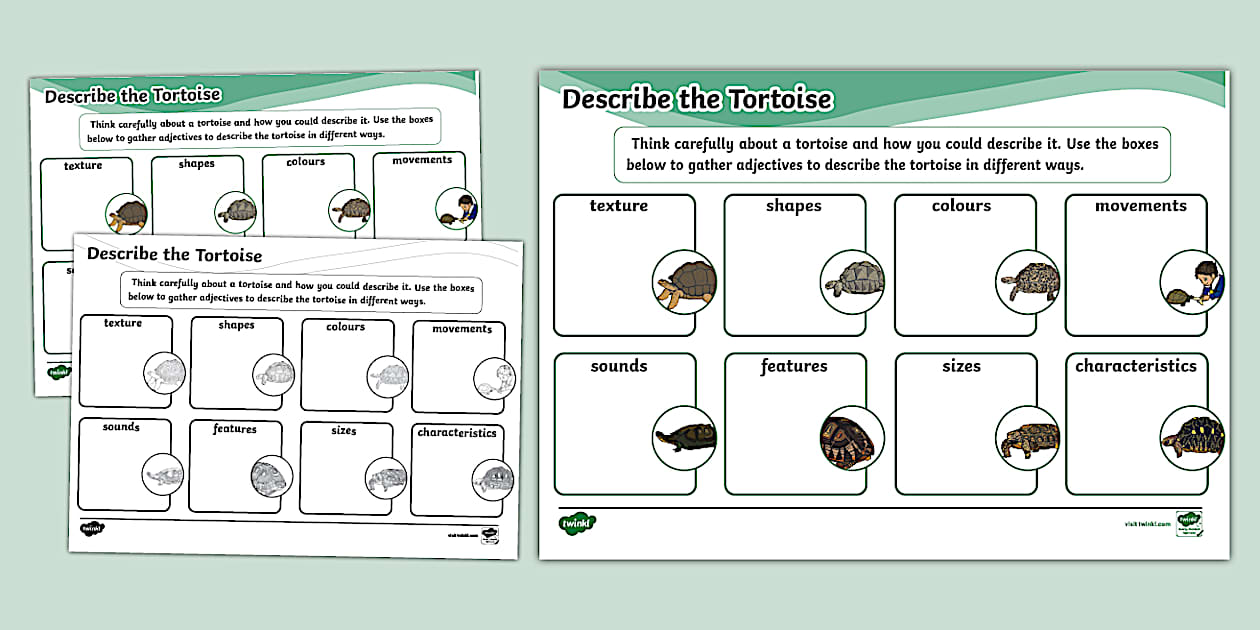 Tortoise Adjectives Worksheet (teacher made) - Twinkl