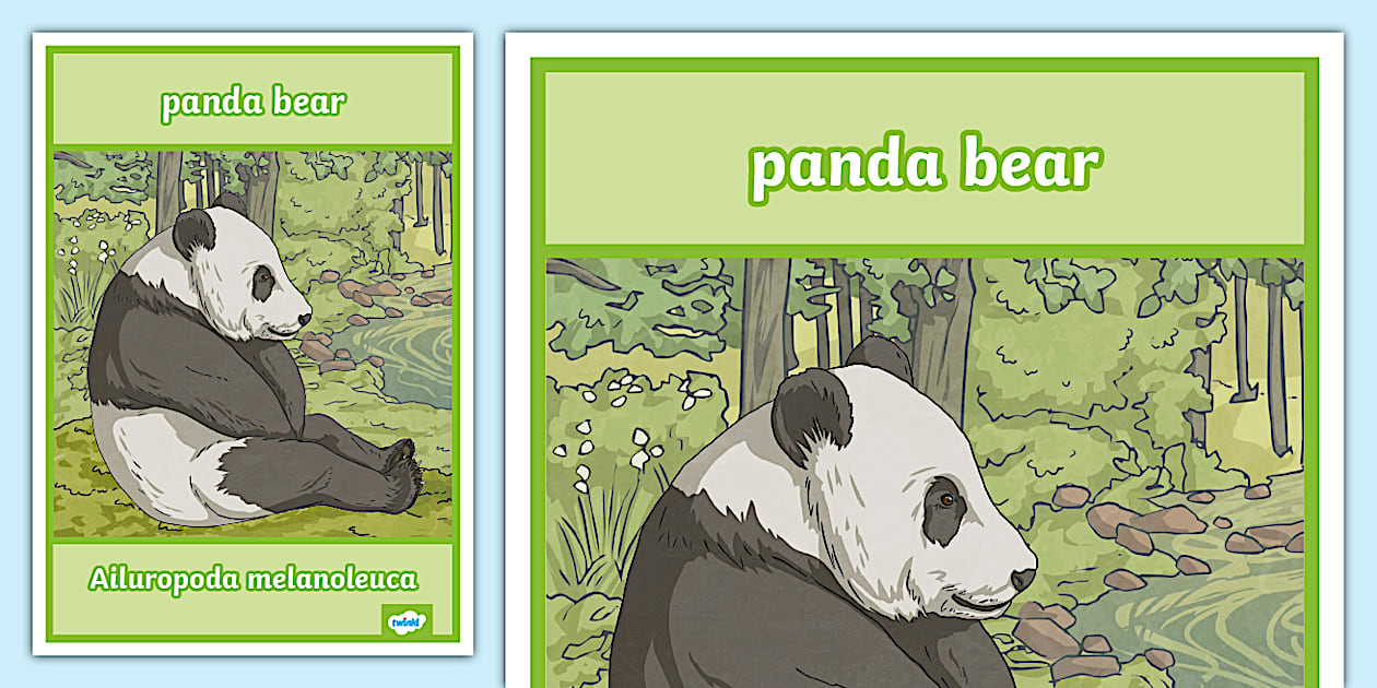 👉 Latin Name for Panda Display Poster (teacher made)