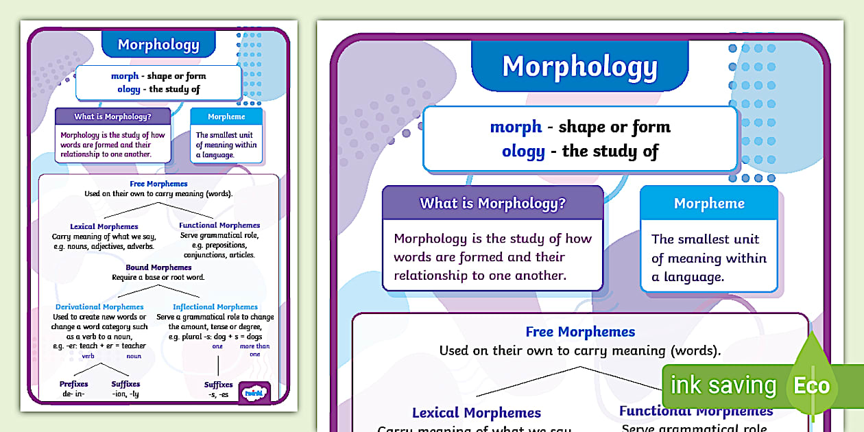 Morphology Poster (teacher made) - Twinkl