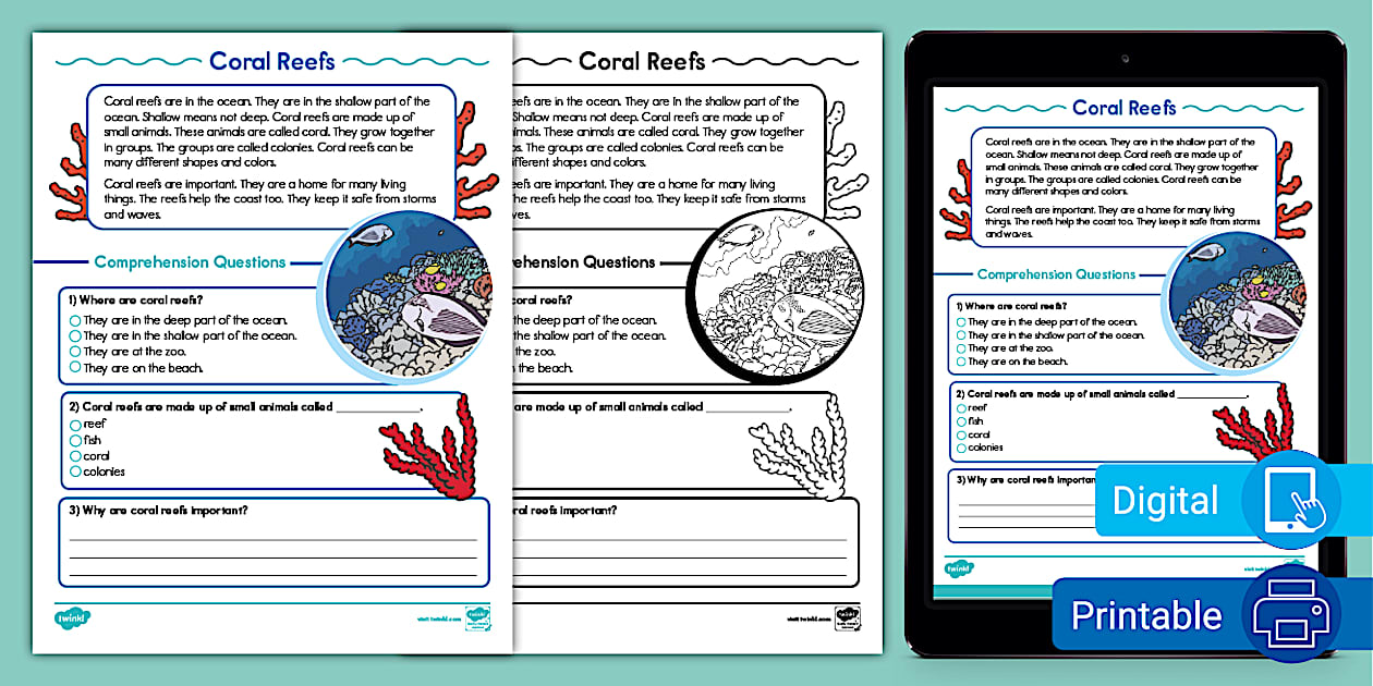 Coral Reefs Reading Comprehension Activity | Twinkl USA