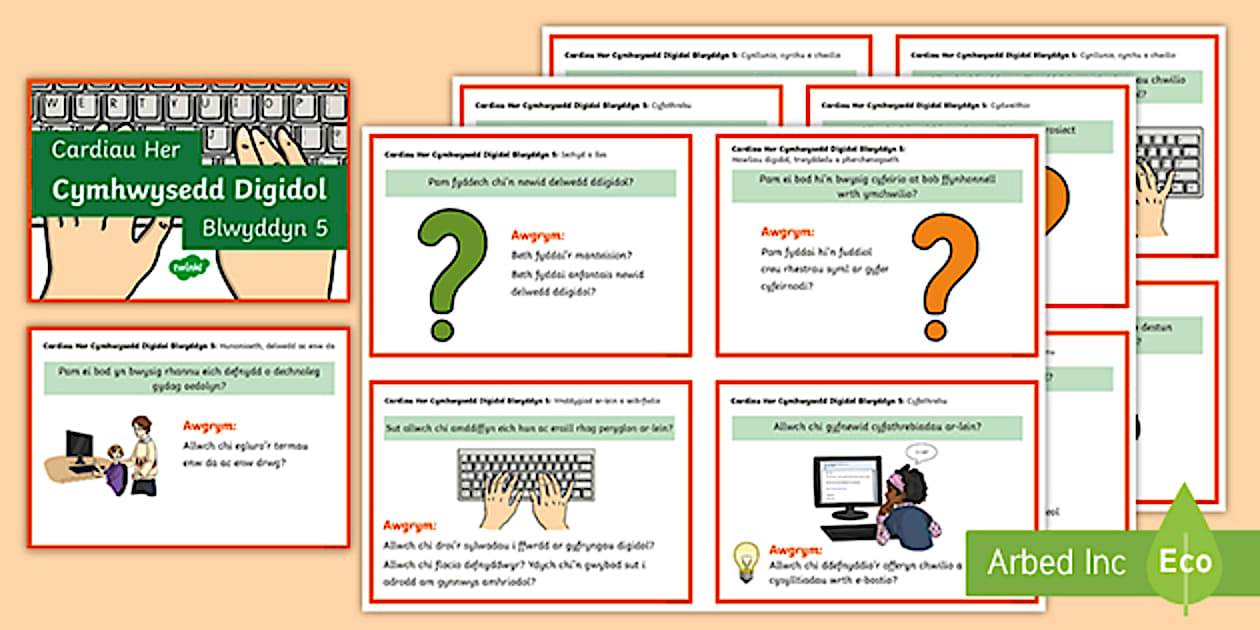 Cardiau Her Cymhwysedd Digidol Blwyddyn 5 - Twinkl