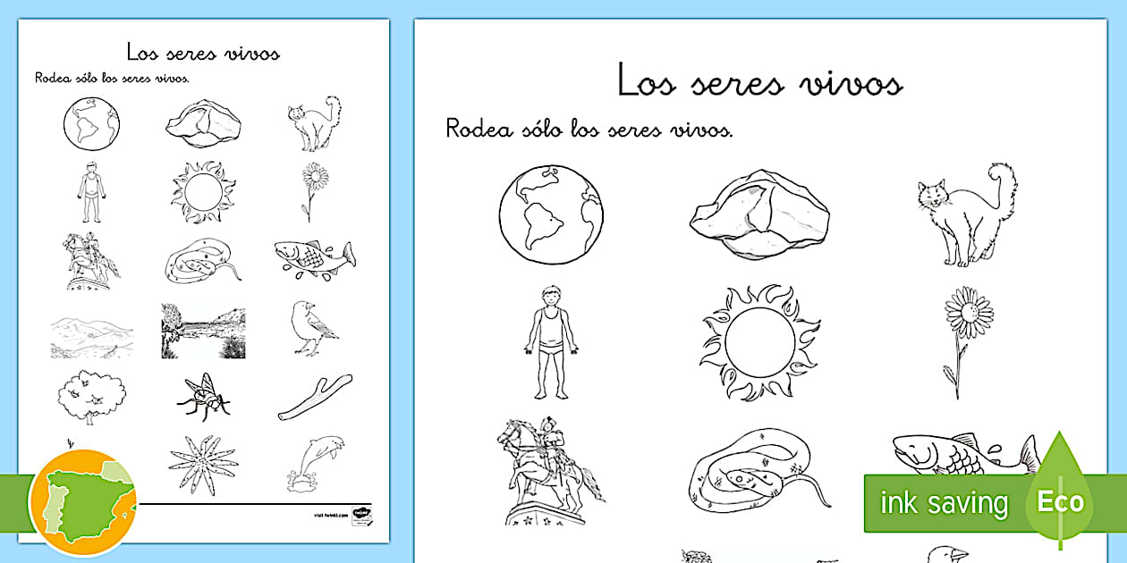 Los seres vivos Ficha de actividad - Twinkl