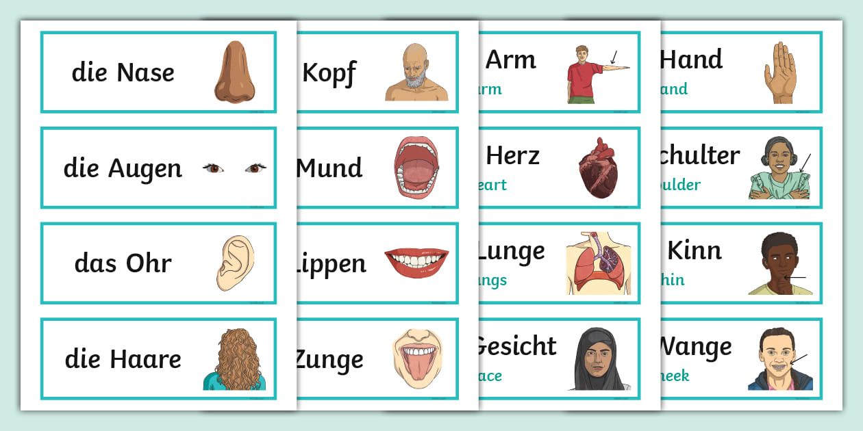 Body Parts Word Cards German (teacher made) - Twinkl