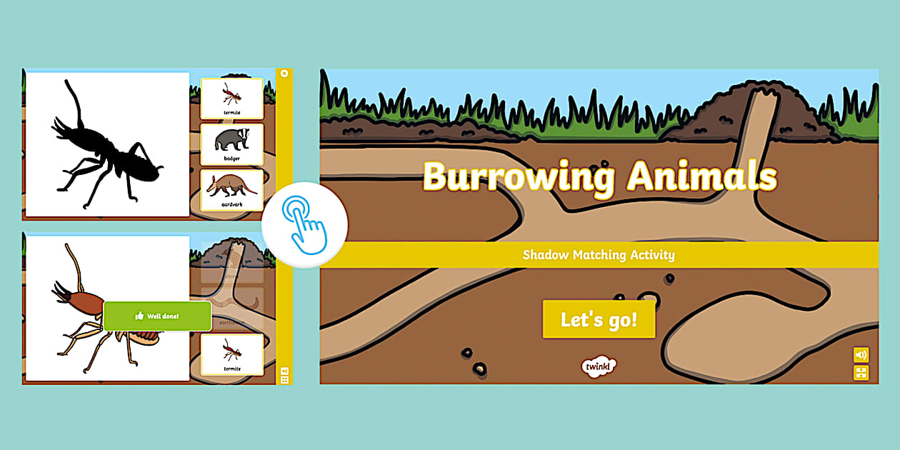 Burrowing Animals Interactive Shadow Matching Game - Twinkl