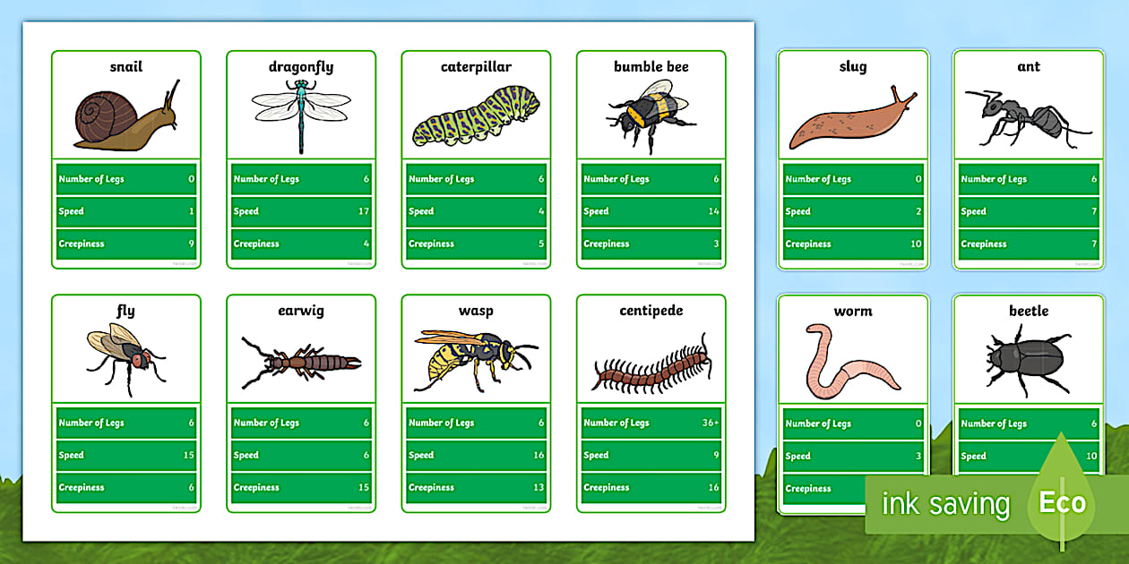 Editable Minibeast Highest Value Card Game - Twinkl