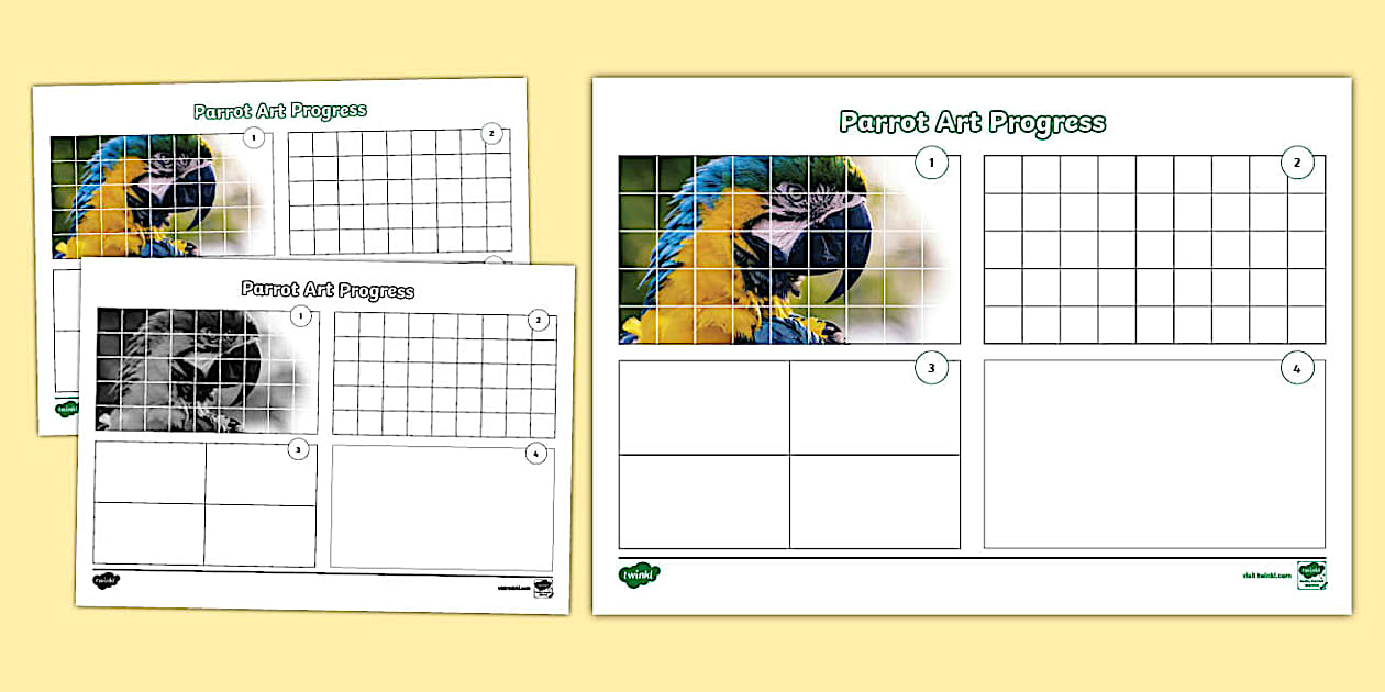 Parrot Art Progress Template (teacher made) - Twinkl
