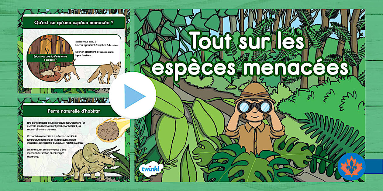 All About Endangered Species Primary French (teacher made)