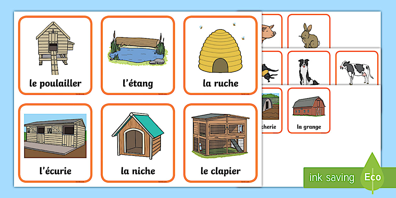 Cartes pour jeu de paires : Où vivent les animaux