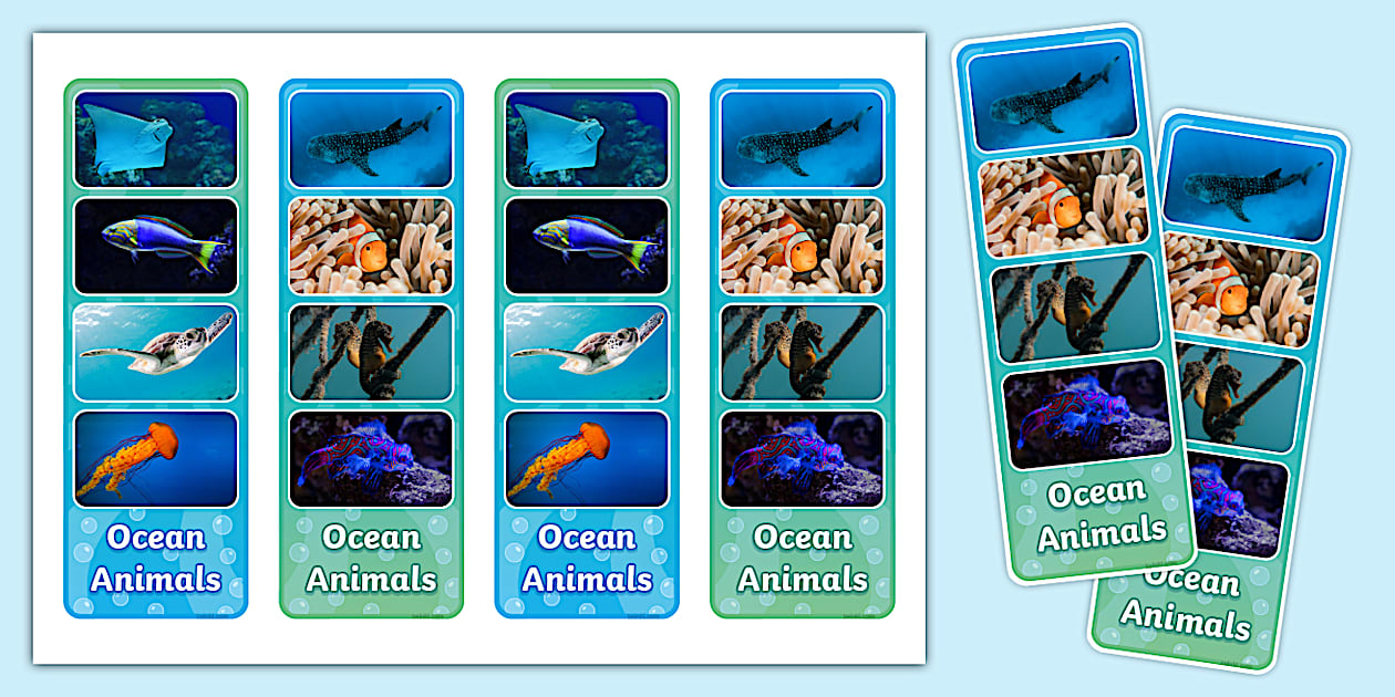 Ocean Animals Photo Strip Bookmarks (teacher made) - Twinkl