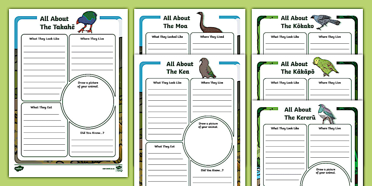 Year 3-4 Native Bird Report Writing Pack