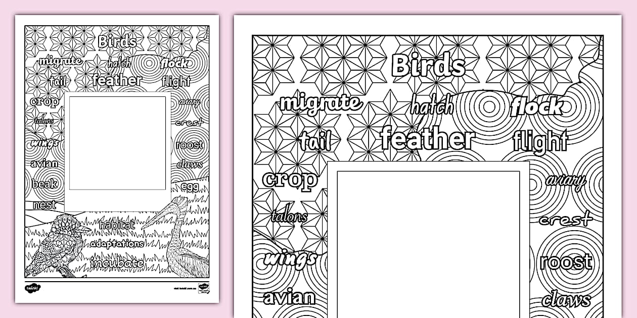 National Bird Week Word Wall (teacher made) - Twinkl