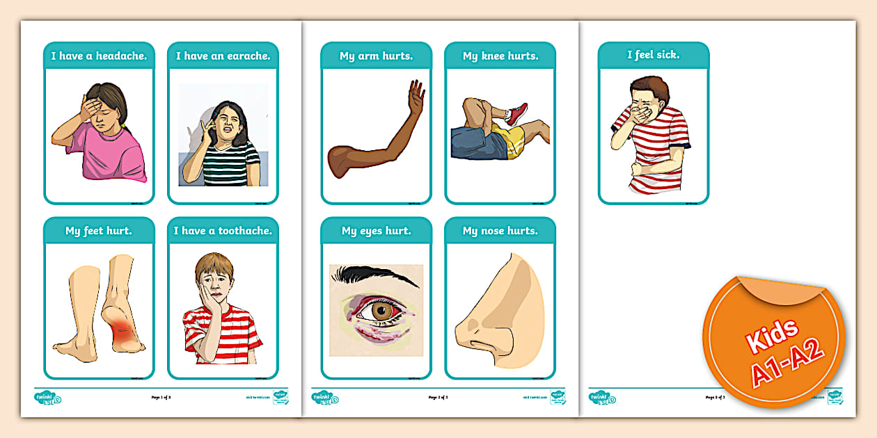 Illnesses Word and Picture Flashcards (Teacher-Made)