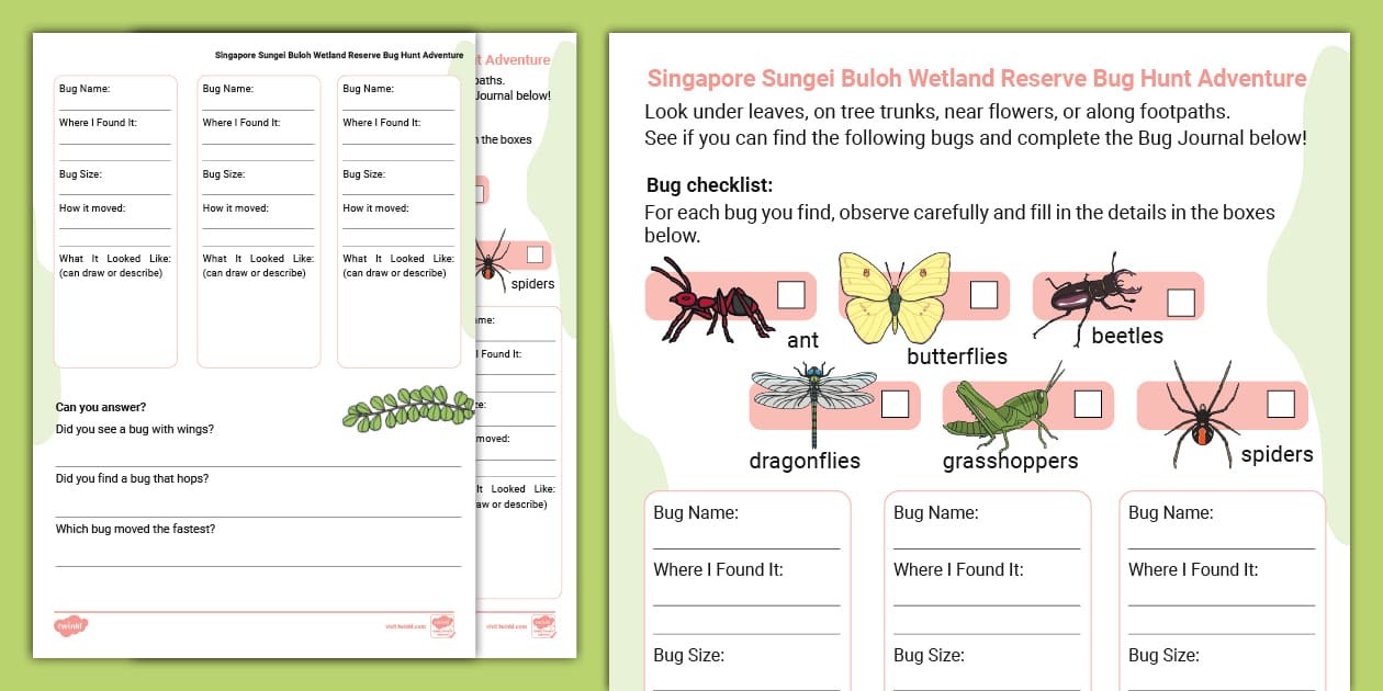 Sungei Buloh Wetland Reserve Bug Hunt (teacher made)
