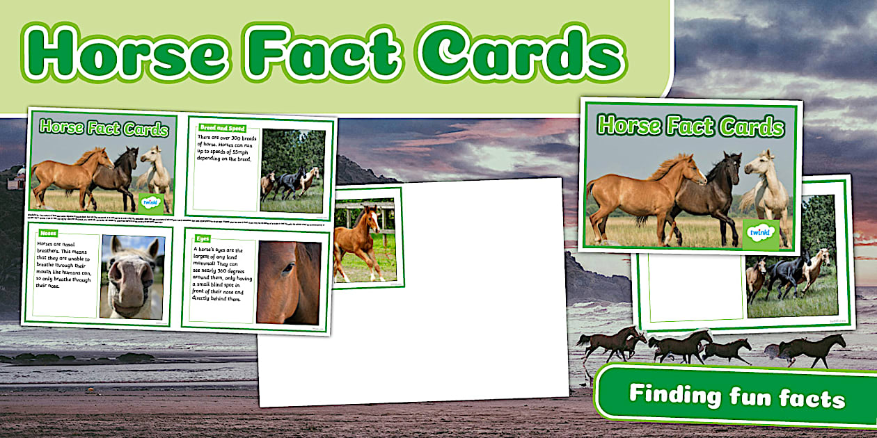 Horse Fact Cards