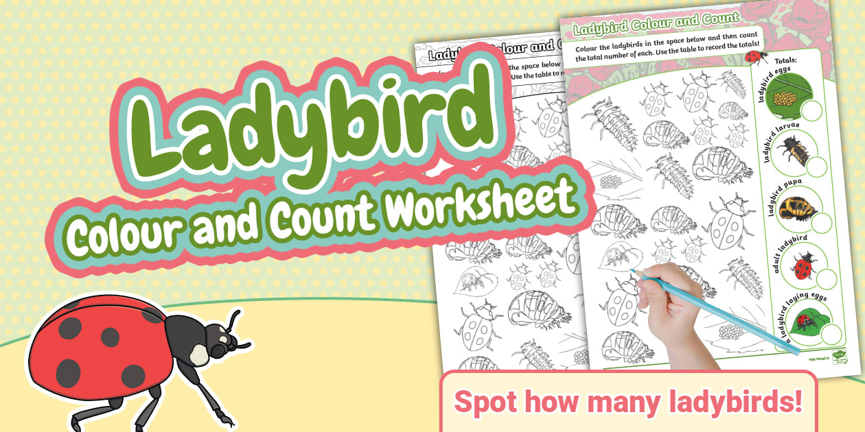 Ladybird Colour and Count Worksheet