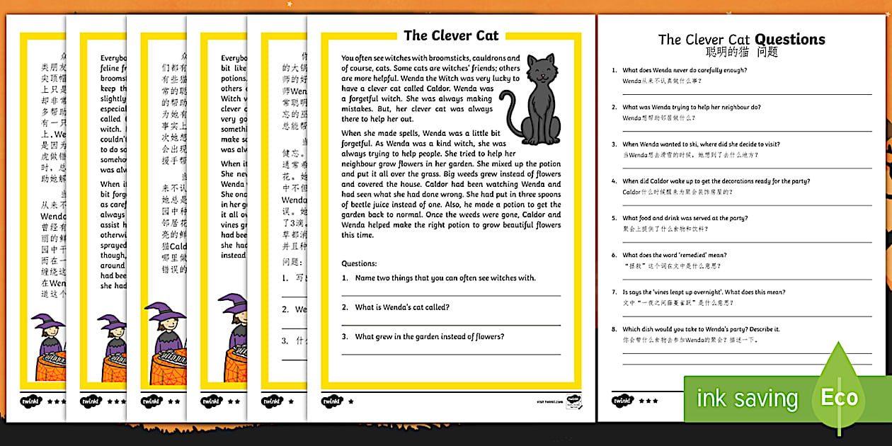 Lower Ability The Clever Cat Differentiated Reading Comprehension Activity