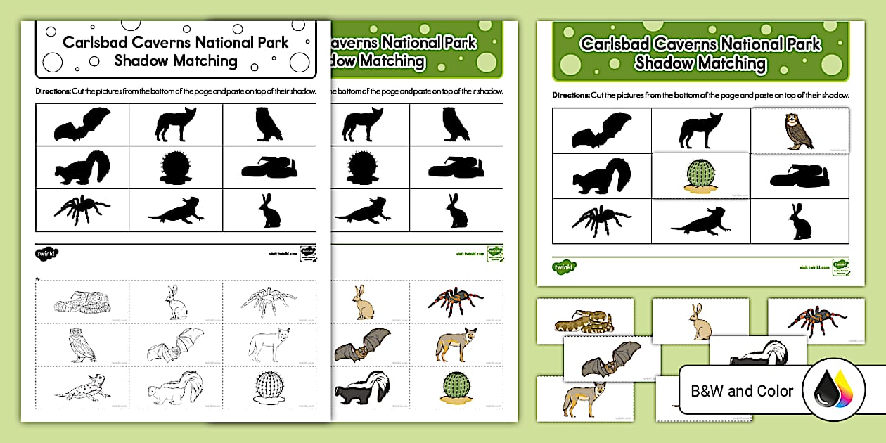 Animal Shadow Matching | National Park Week | Twinkl USA