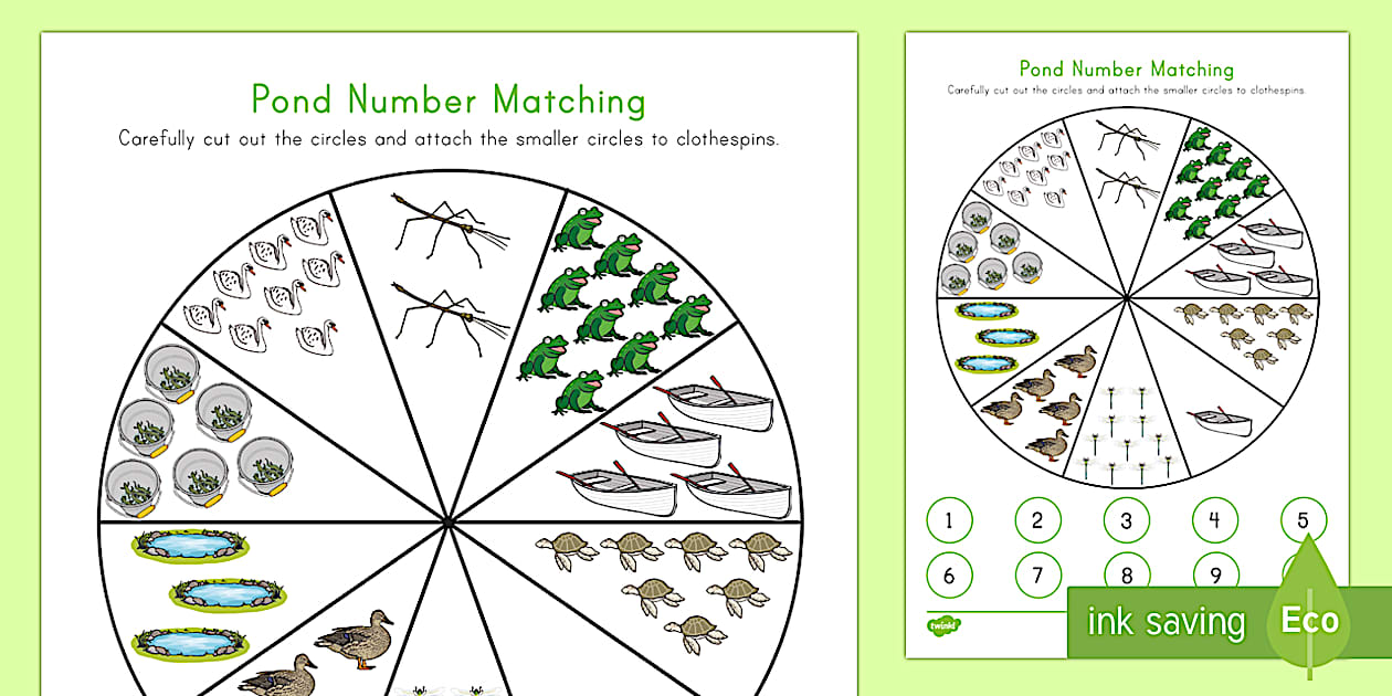 Pond Number Matching Worksheet (teacher made) - Twinkl