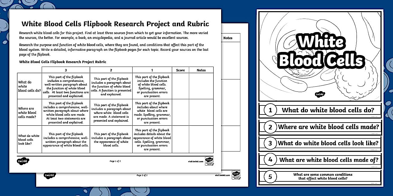 White Blood Cells Flipbook Research Project and Rubric for 6th-8th Grade