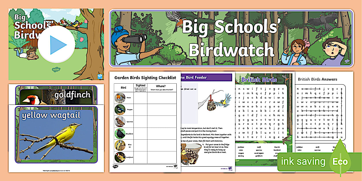 Editable Big Schools' Birdwatch Resource Pack (teacher made)