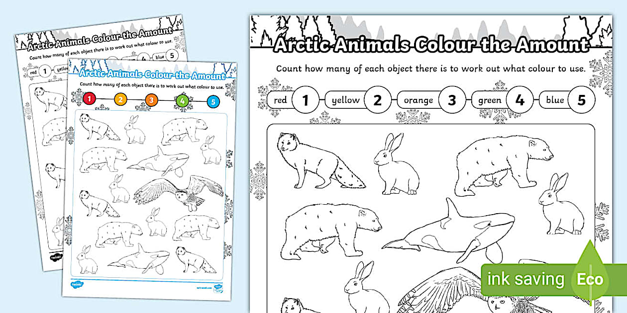 👉 Arctic Animals Colour the Amount (teacher made)