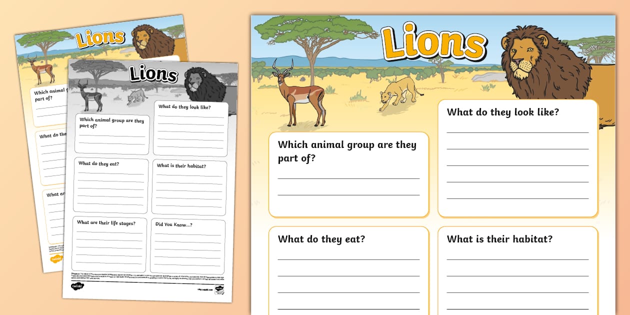 Lions Fact File Template,Lion Facts (Teacher-Made) - Twinkl