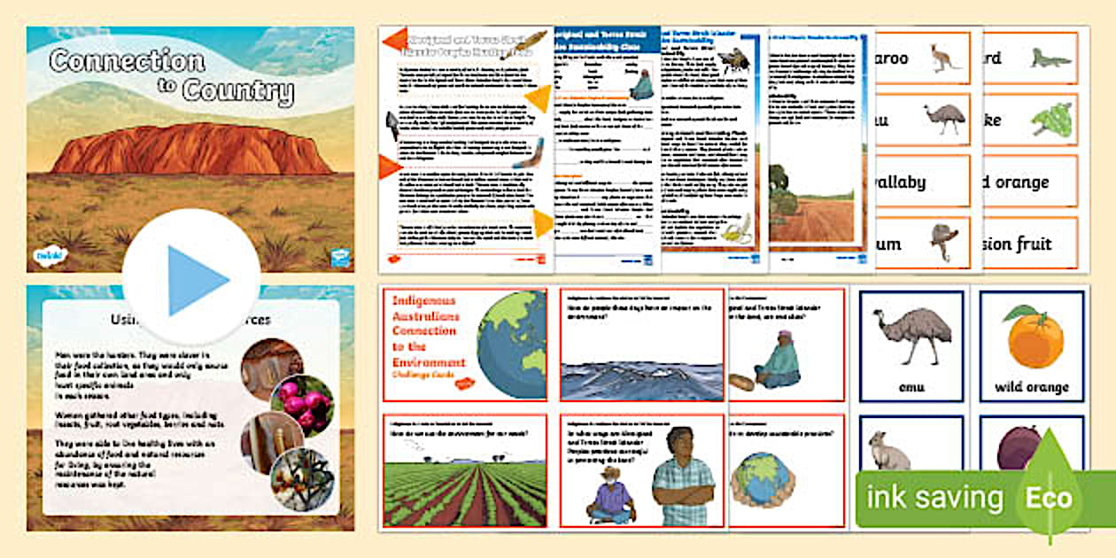 Traditional Indigenous Australian Foods Activity Pack