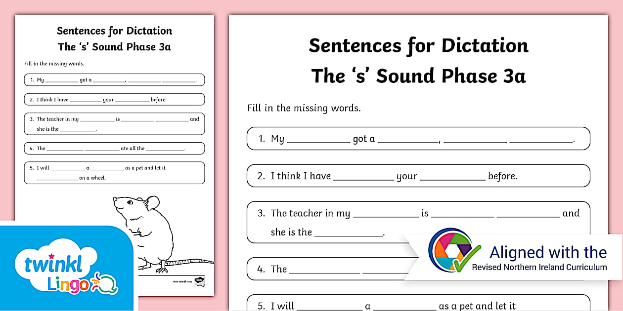NI Linguistic Phonics 3a ‘s’ Sound Dictation Sentences