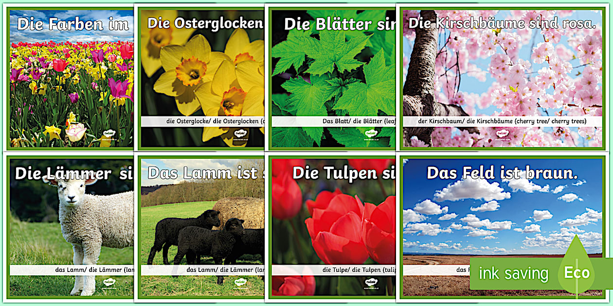 Colours in Spring Display Posters German (teacher made)