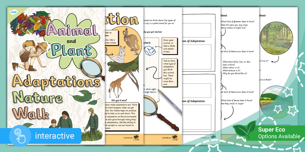 Animal and Plant Adaptations Nature Walk (Ages 7 - 11)