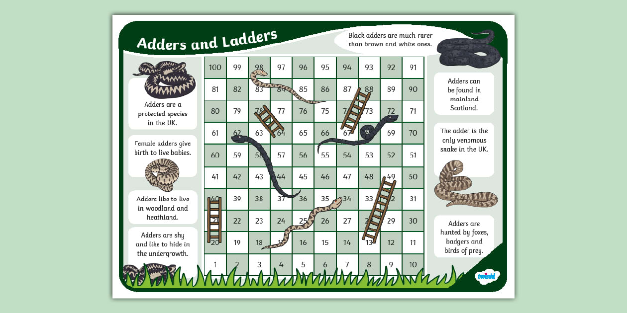Adders (Snakes) and Ladders Board Game (creat de profesori)