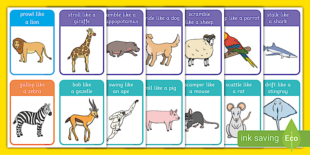 Animal Action Cards (teacher made) - Twinkl