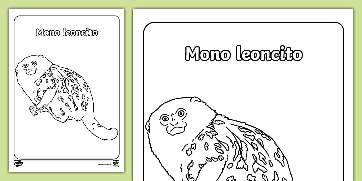 Hoja para colorear: Mono leoncito