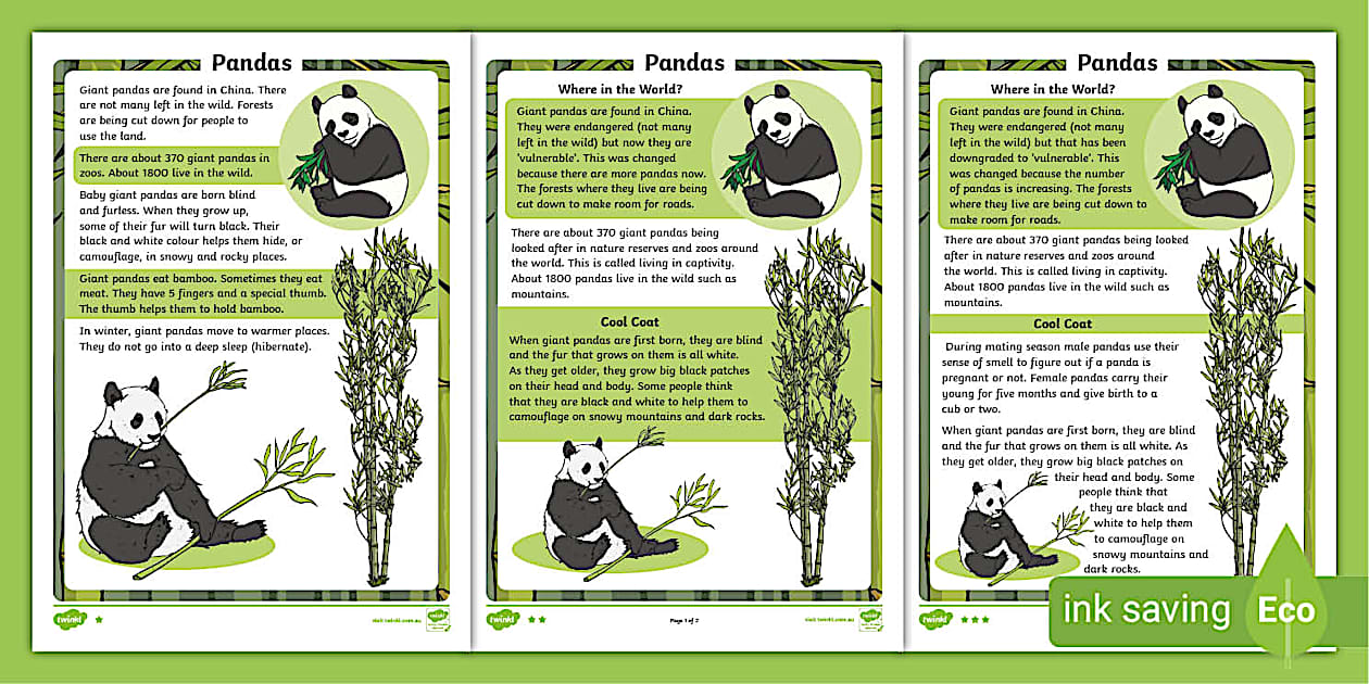 Editable Panda Reading Comprehension Worksheets - Twinkl